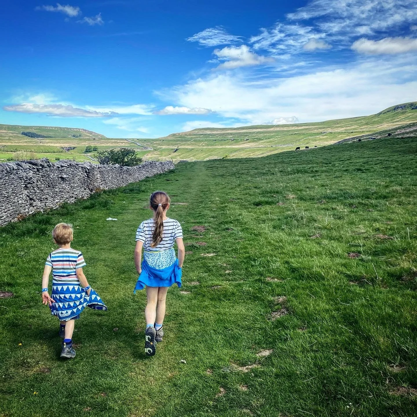 The Reluctant Explorers: Yorkshire Walking With Kids — Cray Gill Waterfalls