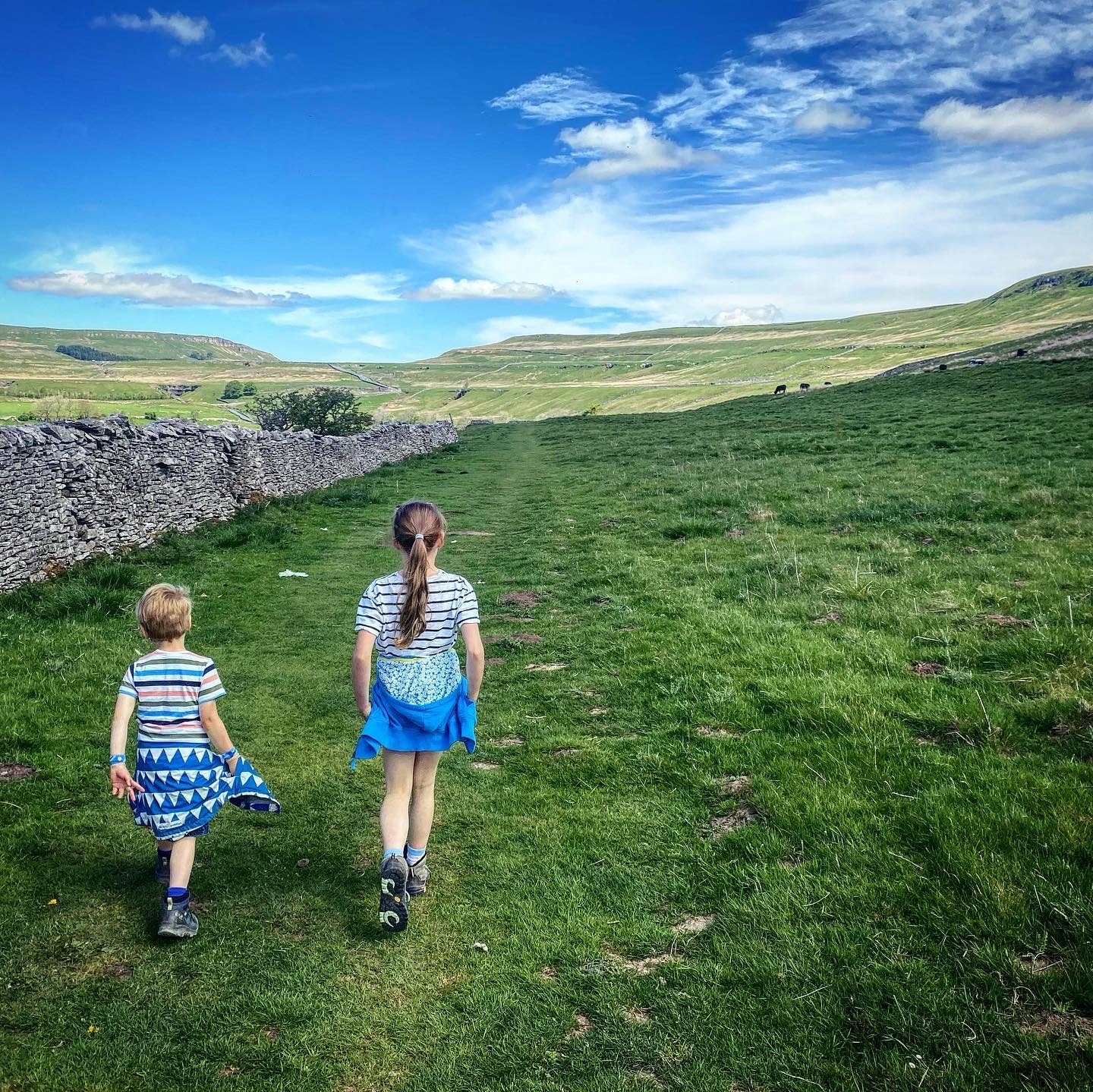 The Reluctant Explorers: Yorkshire Walking With Kids — Cray Gill Waterfalls