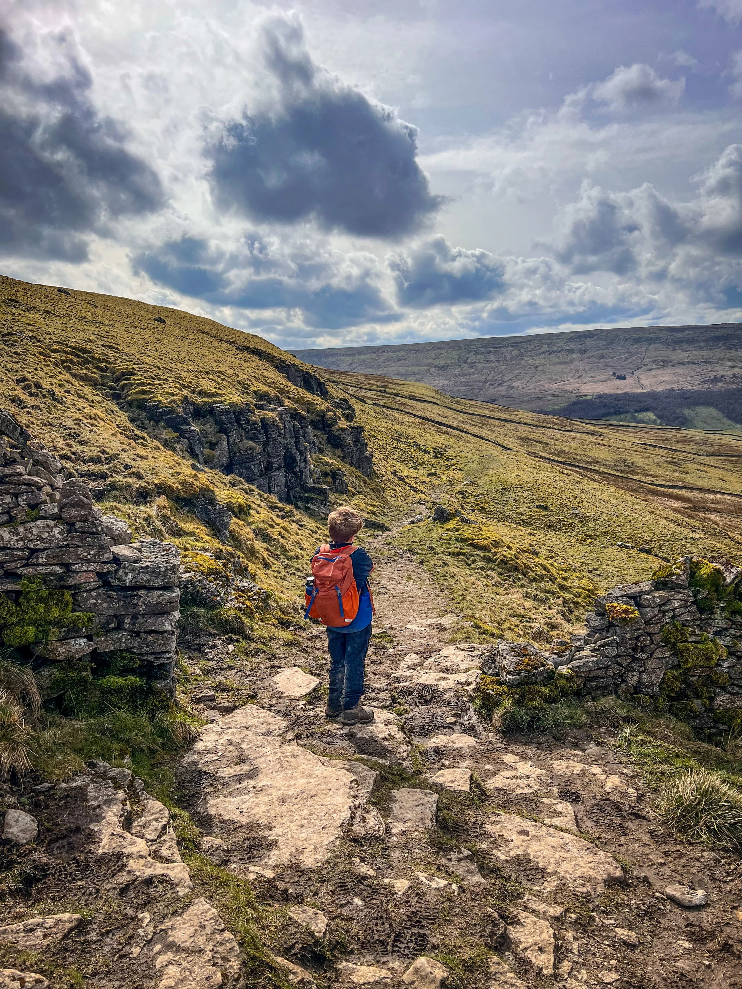 The Reluctant Explorers: Yorkshire Walking With Kids — Buckden Pike Walk