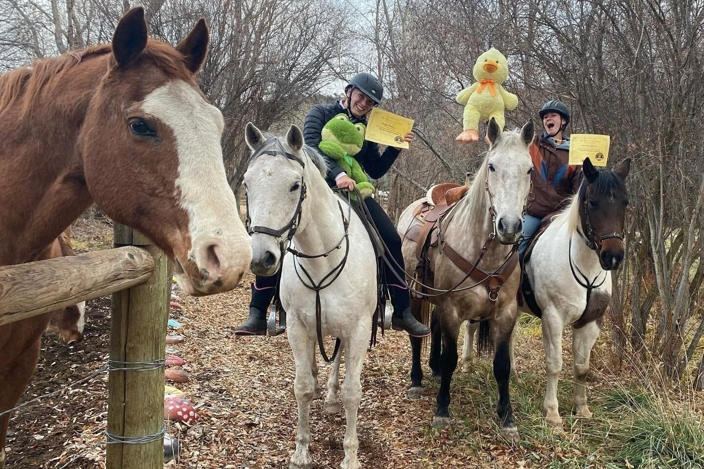 Horse Boy Method Certification — Smiling Goat Ranch