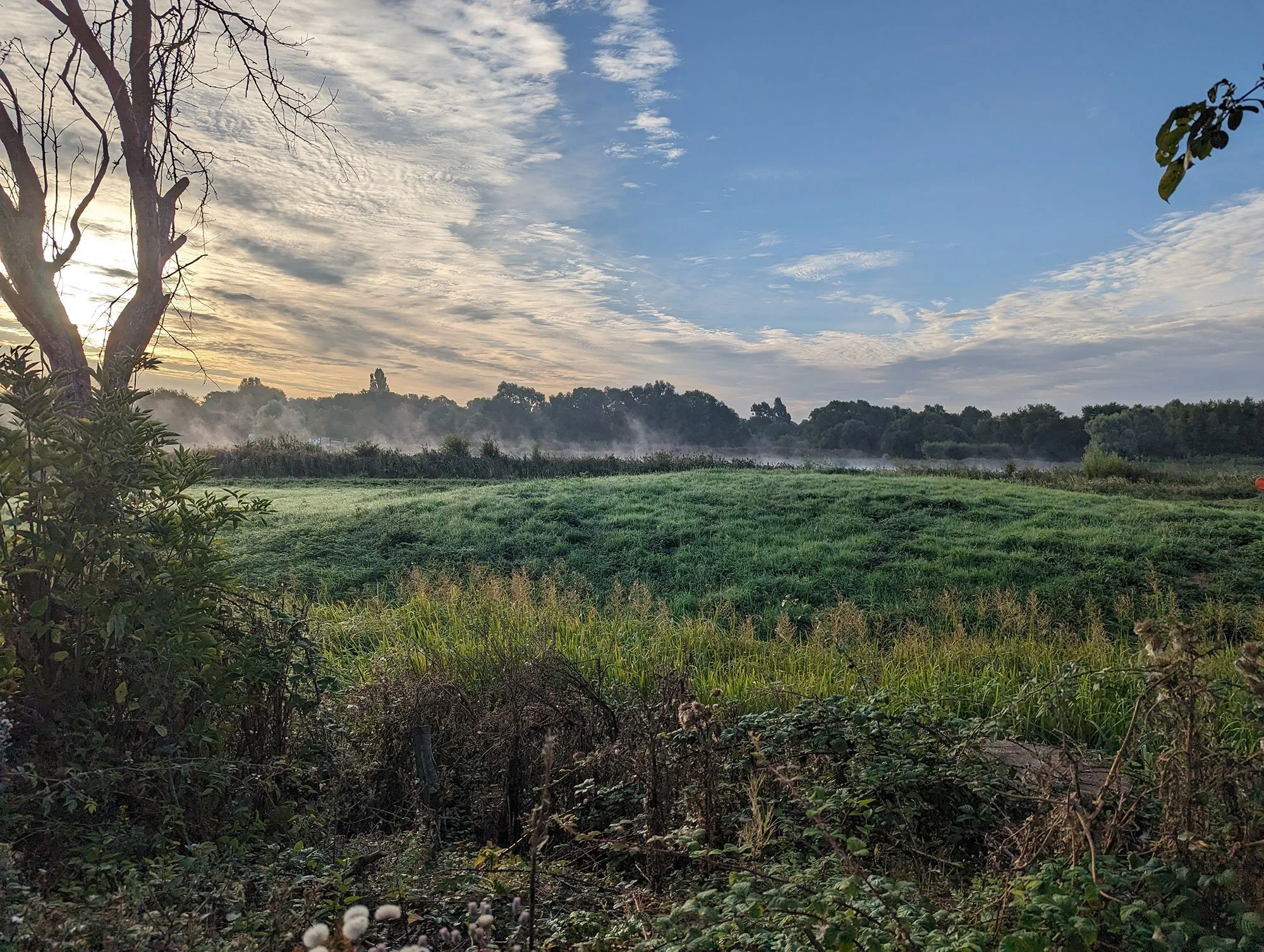 Stanwick Lakes — Northamptonshire Heritage Forum