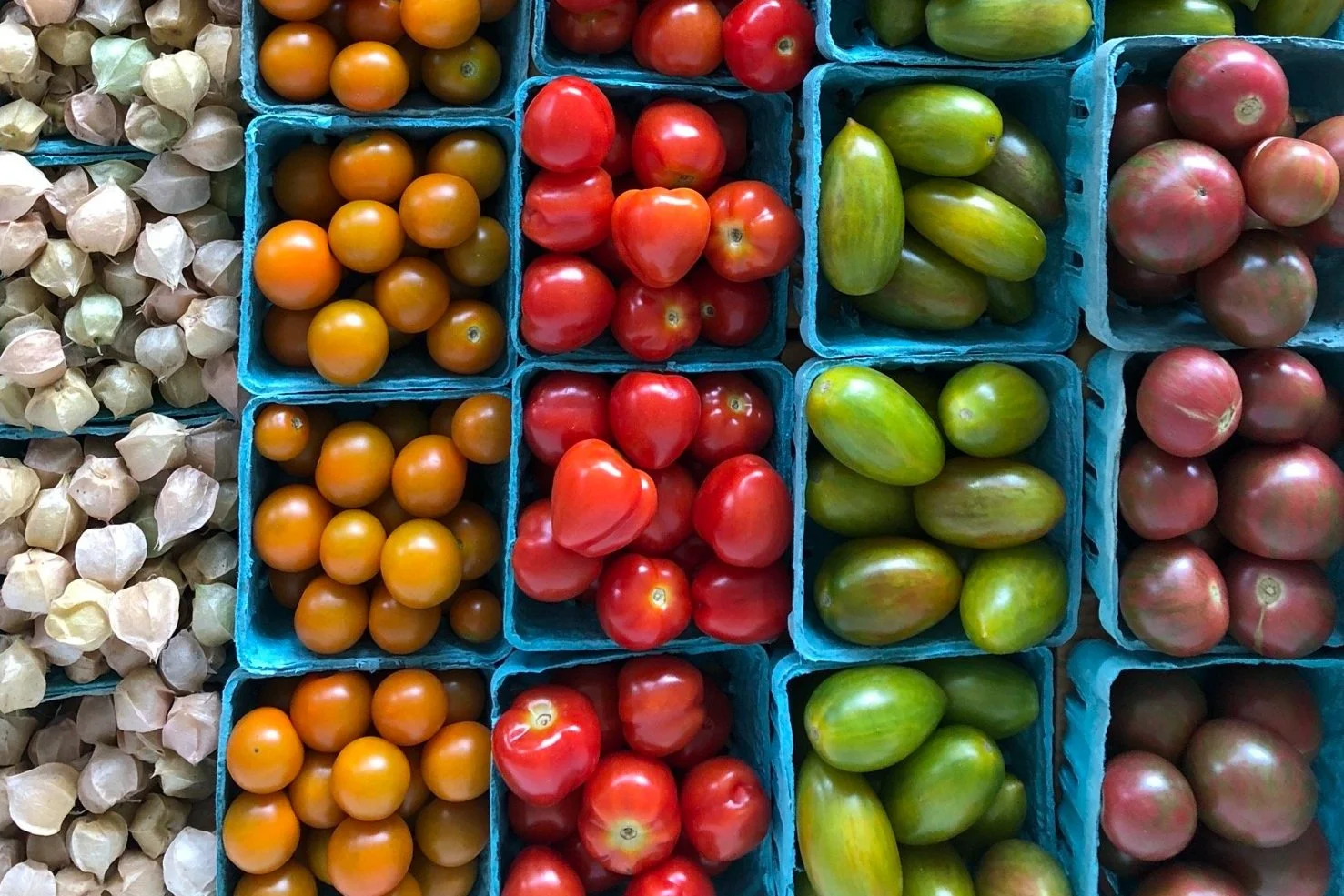 Tiverton Farmer's Market
