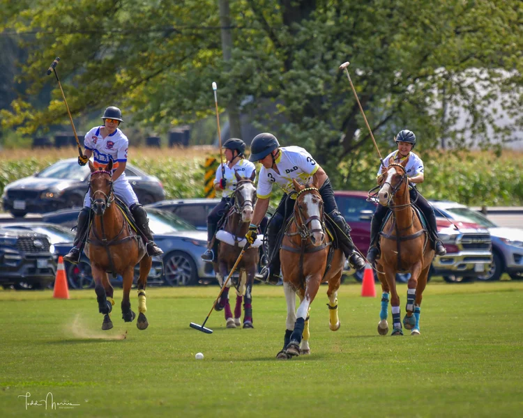 About — Greater Niagara Polo Club