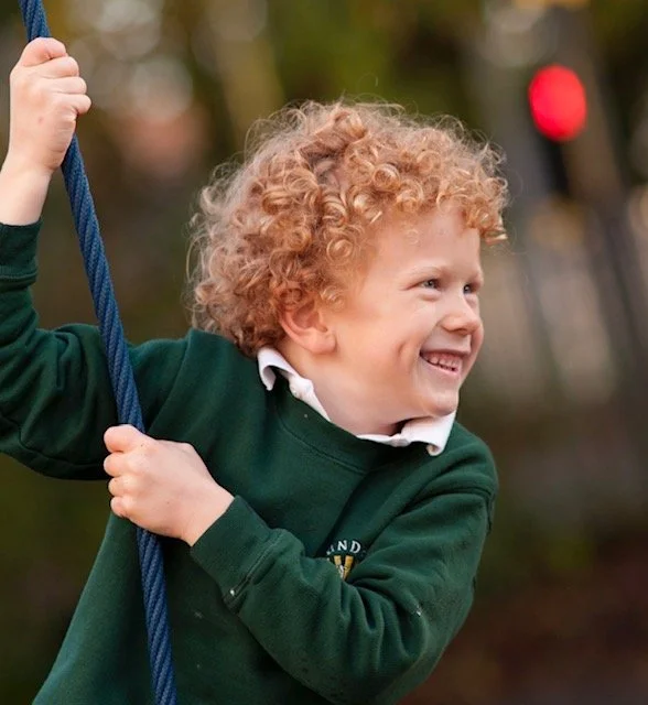 Joe Bio — CSS Activities