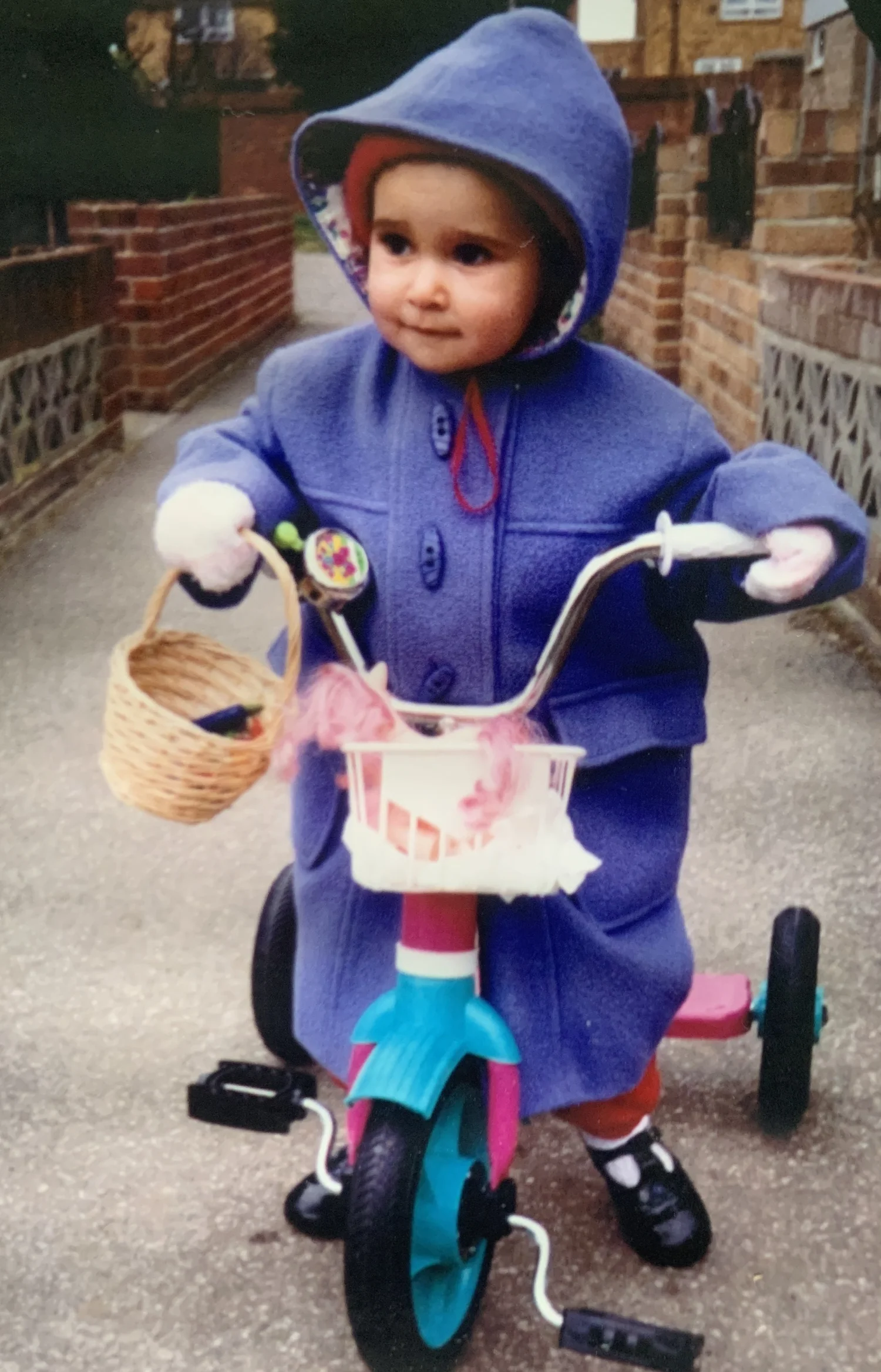 Annelise Bio — CSS Activities