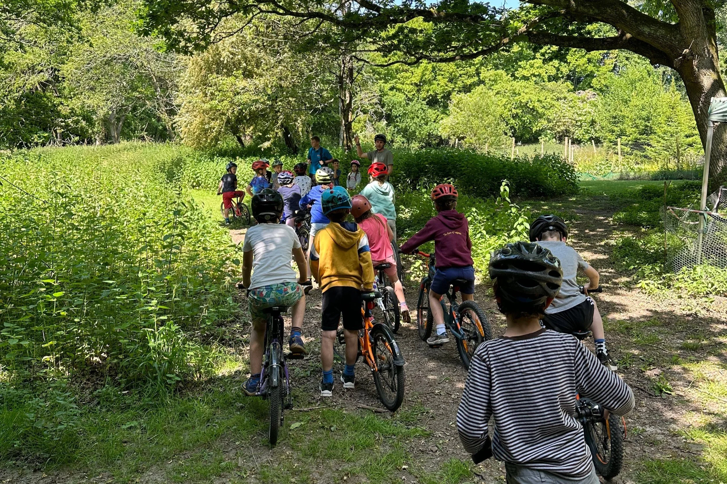 BOOK ARDINGLY — CSS Activities