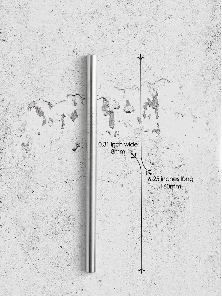 Collapsible Stainless Steel Straw Kit — The Ecoporium