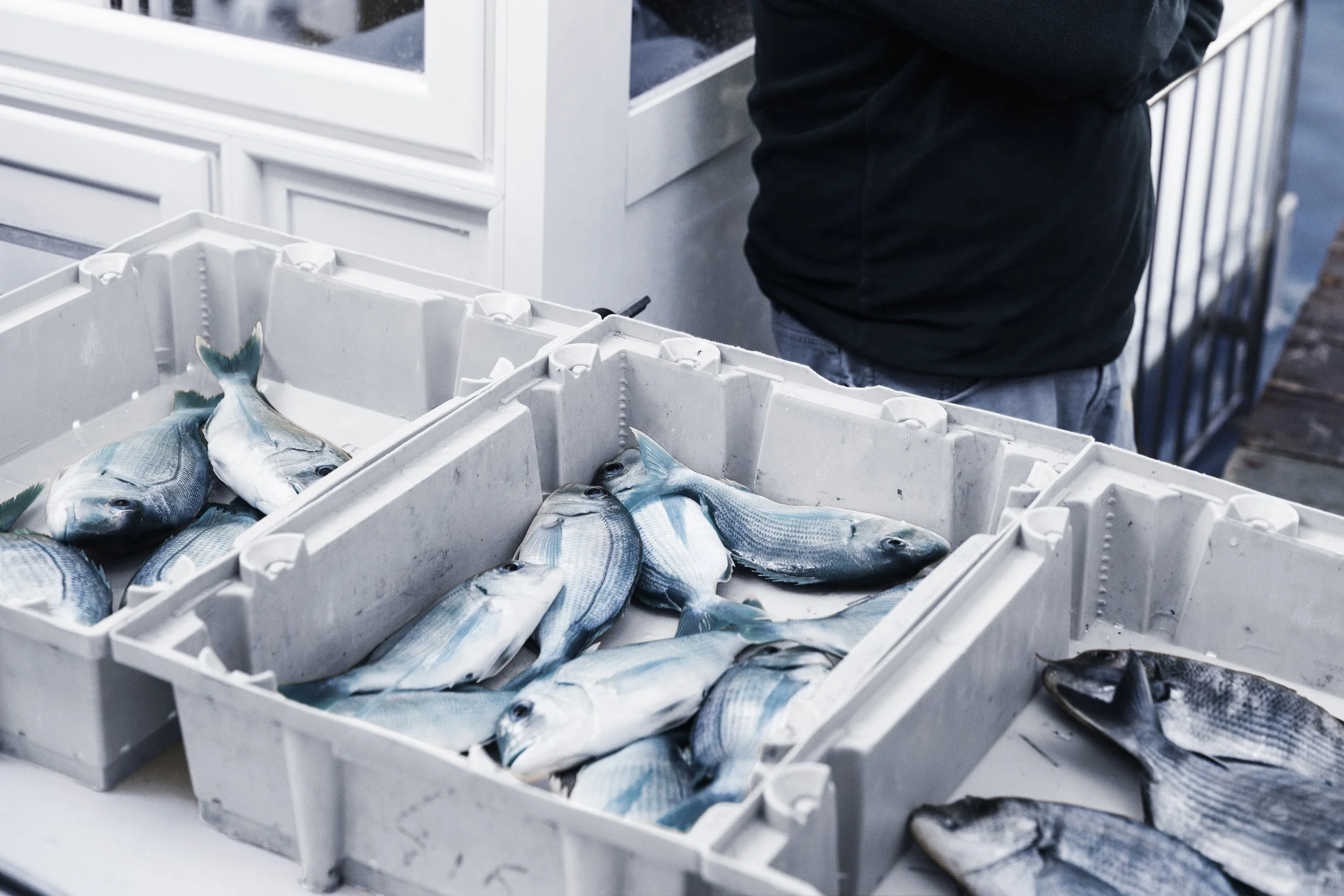 STOK Emballage » Emballageleverandør og videnshus | stok.dk