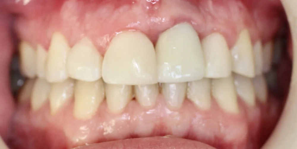 THE BIOCLEAR MATRIX SYSTEM — Maribel M. Vann DDS