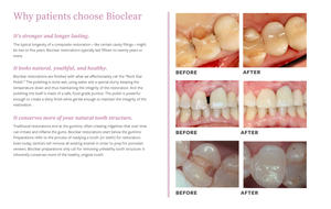 THE BIOCLEAR MATRIX SYSTEM — Maribel M. Vann DDS
