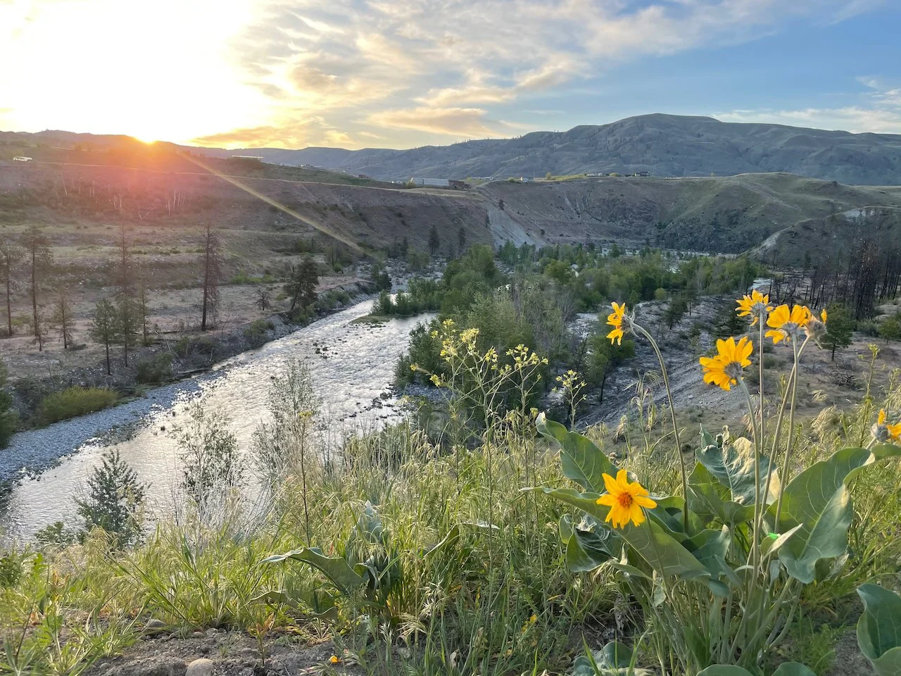 The Upper Gorge Trails — Guy Evans Lake Chelan Real Estate