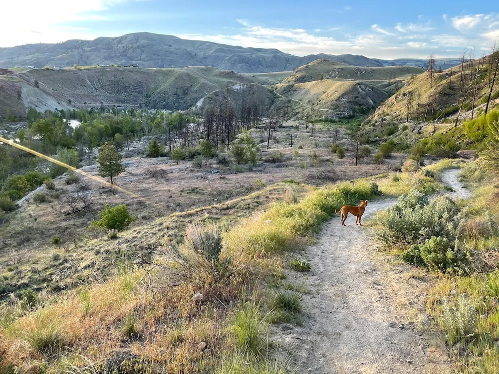 The Upper Gorge Trails — Guy Evans Lake Chelan Real Estate