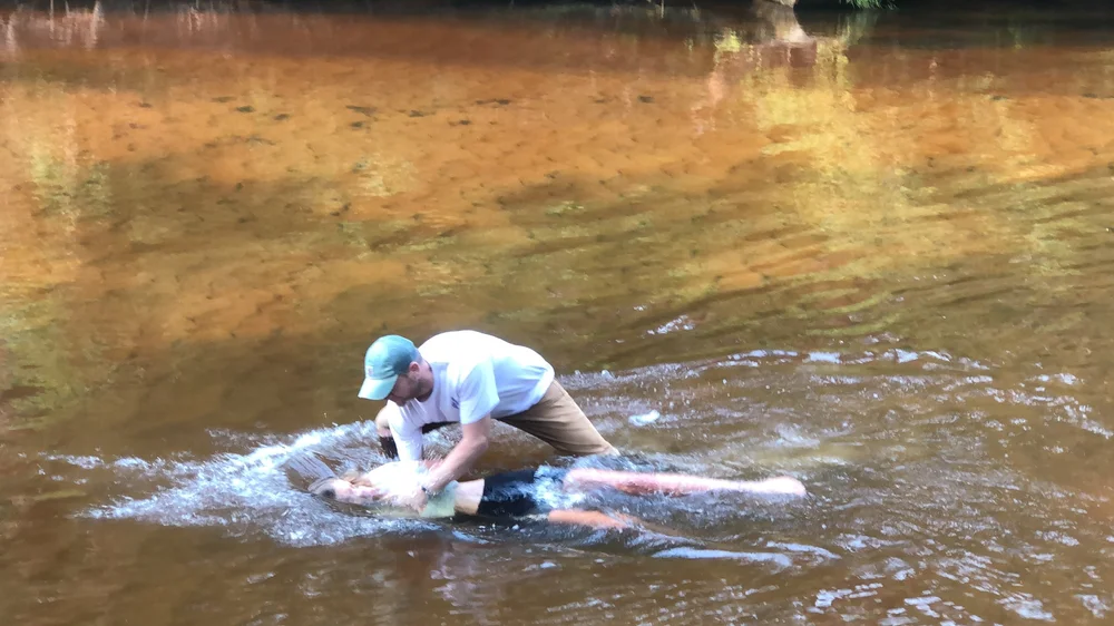 Intermediate Camp 2023 — WCYC