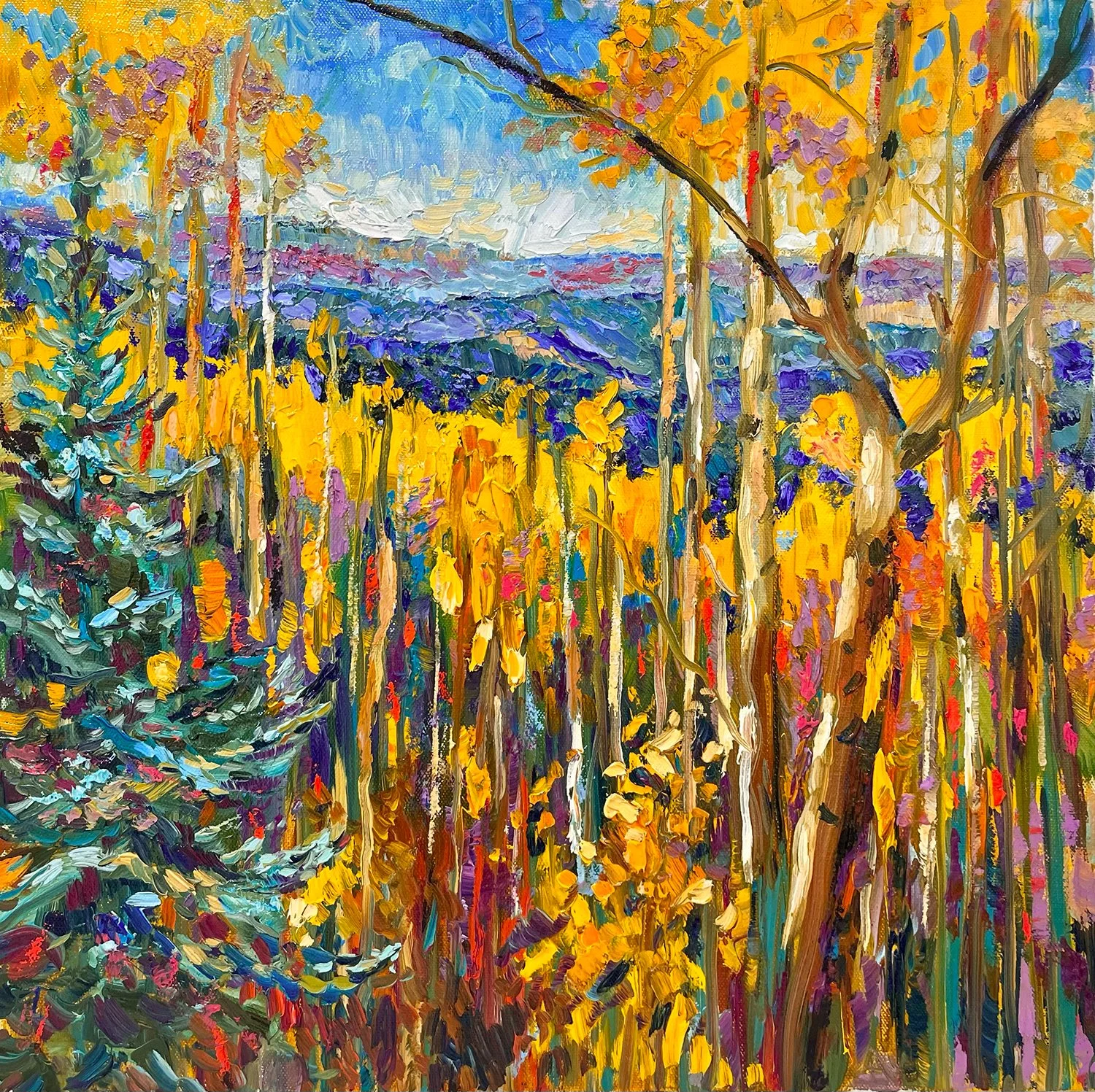 Late November Snow — Barbara Meikle Fine Art