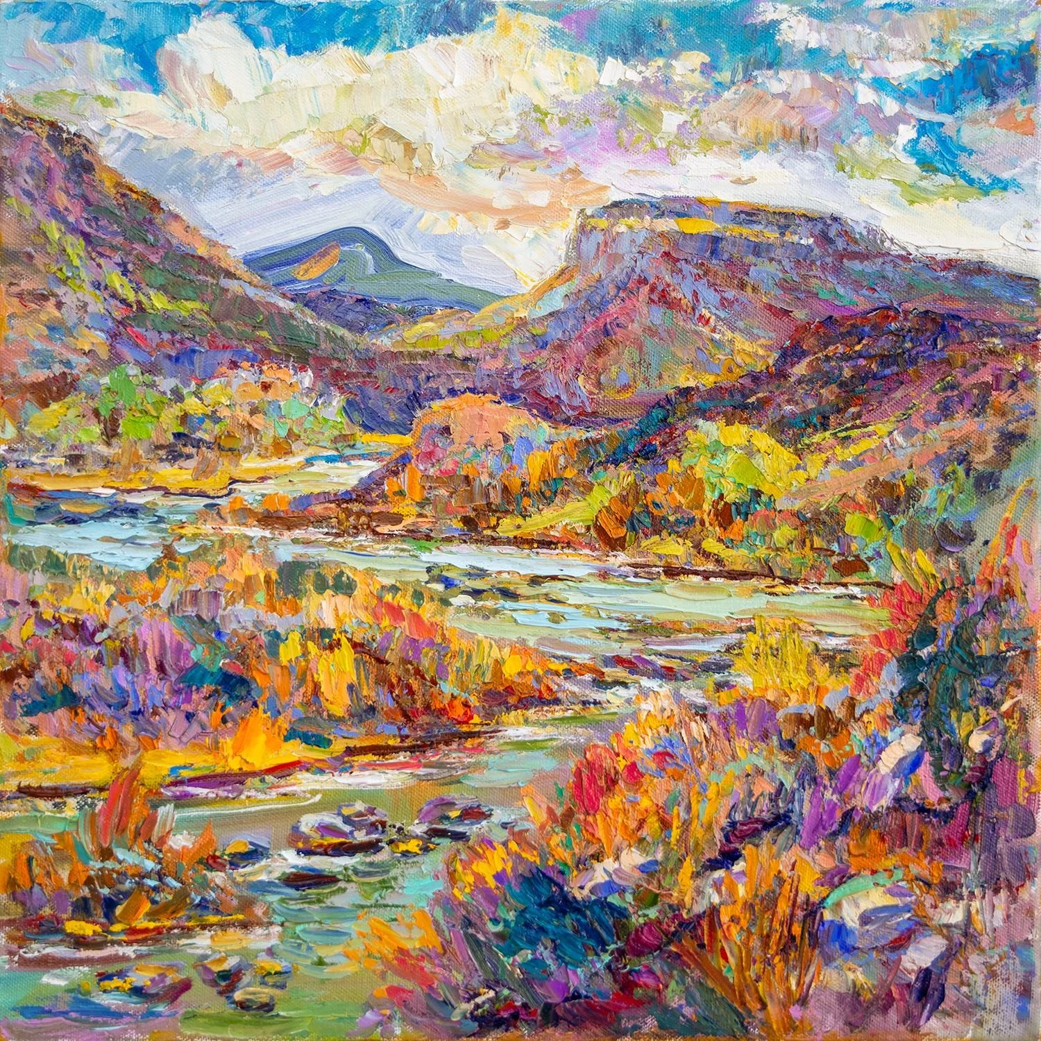 Lost in the Woods — Barbara Meikle Fine Art