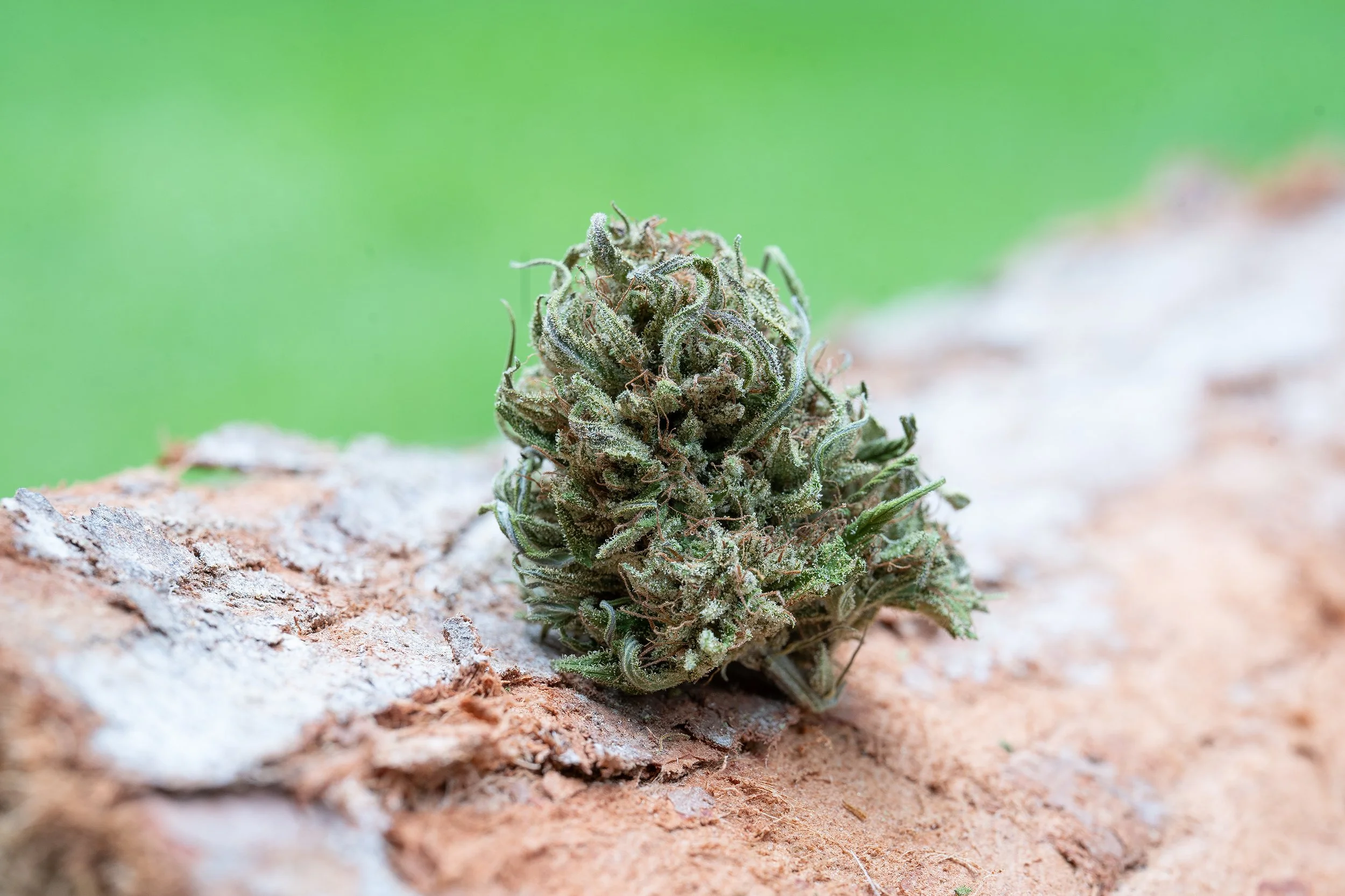 Products — Farm Cut