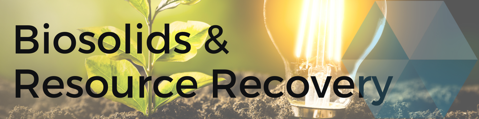 Biosolids & Resource Recovery Working Group Meeting — Intelligent Water ...