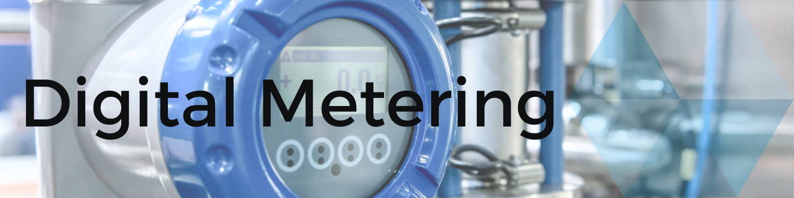 Digital Metering Systems working group — Intelligent Water Networks