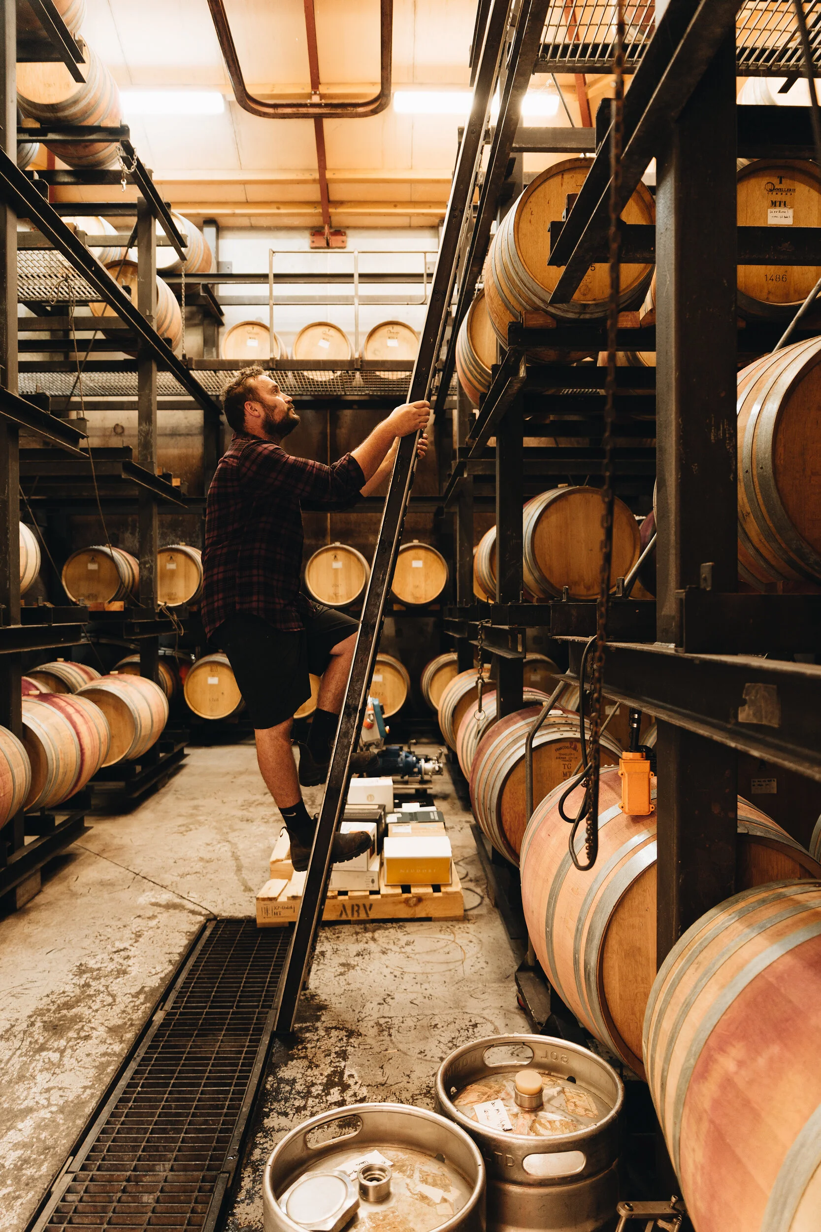 Trade Resources — Ata Rangi