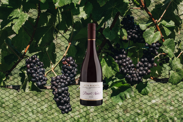 Reviews — Ata Rangi