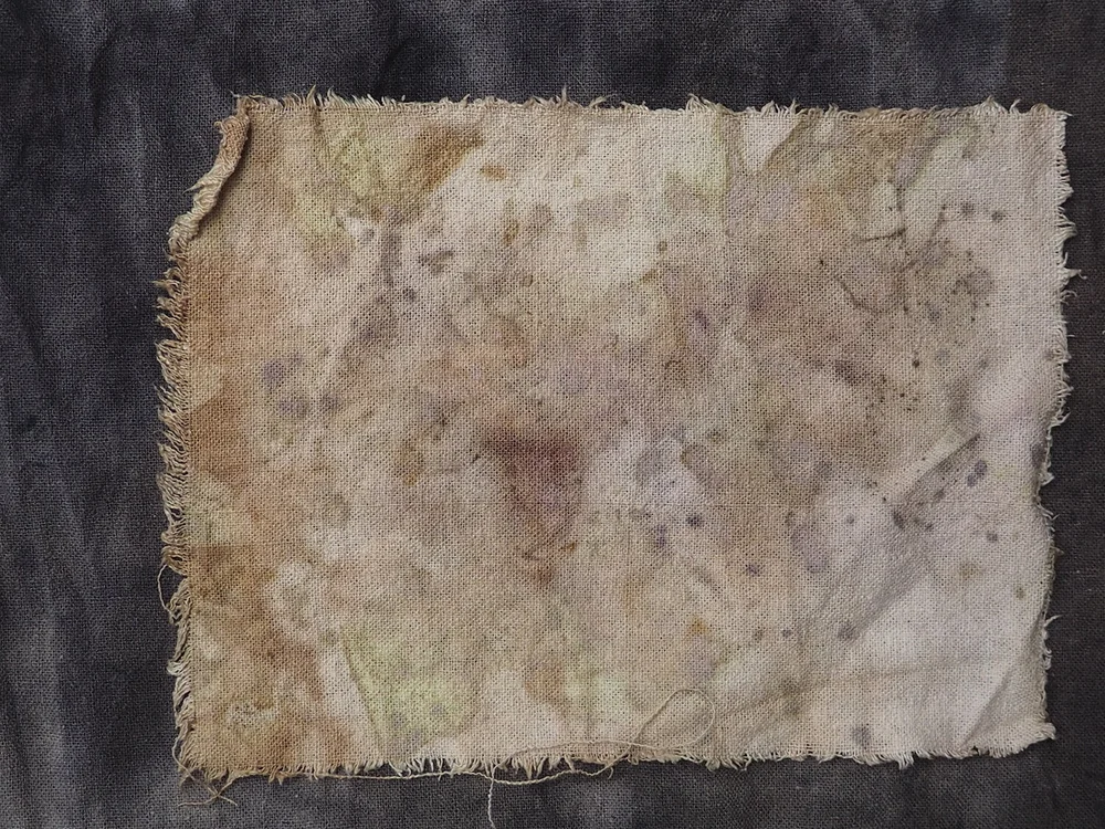 eucalyptus and rusty iron dyeing :: natural & botanical dye how to ...