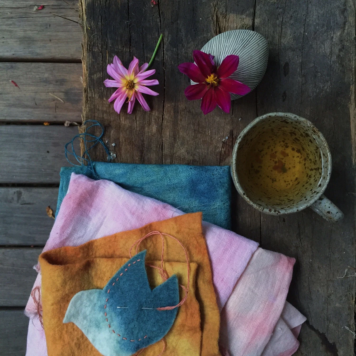 Natural Dye Botanical Fabric Dyeing - How To Do It Yourself — petalplum