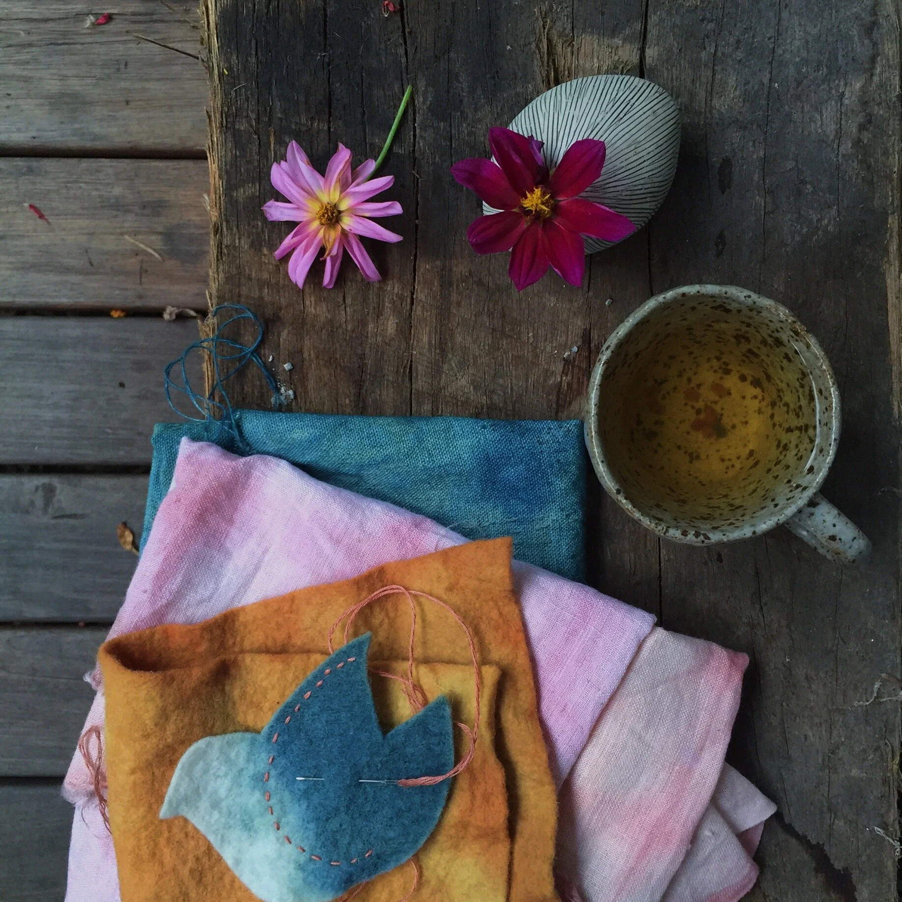Natural Dye Botanical Fabric Dyeing - How To Do It Yourself — petalplum