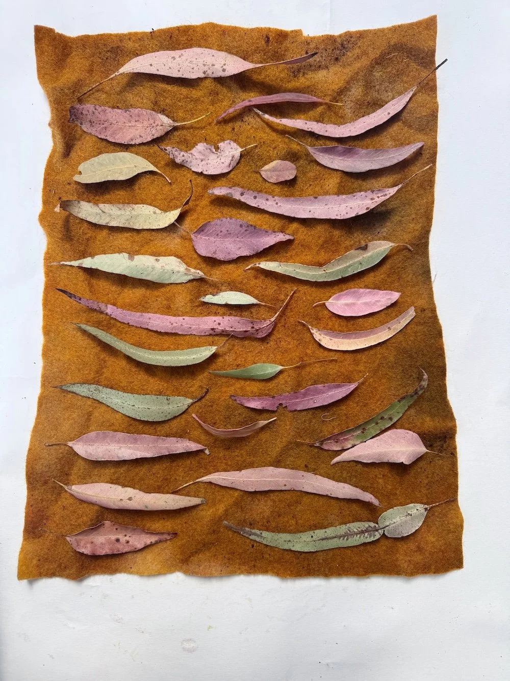 Flower-Dyed Fabric: A Step-by-Step Guide to Eco Printing and Bundle ...