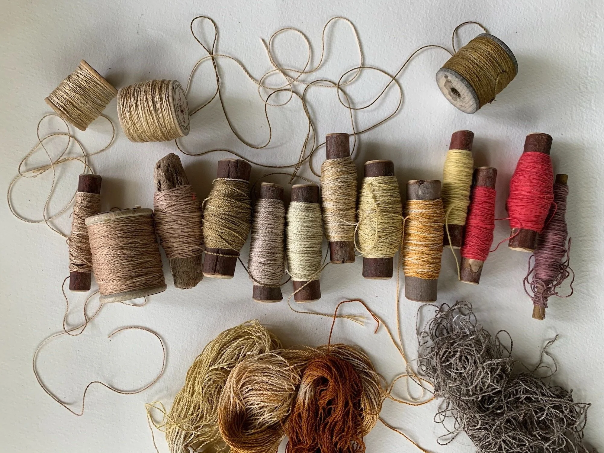 Natural Dye Botanical Fabric Dyeing - How To Do It Yourself — petalplum