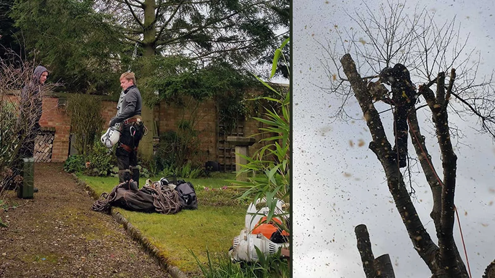 Residential — THE TREE TEAM