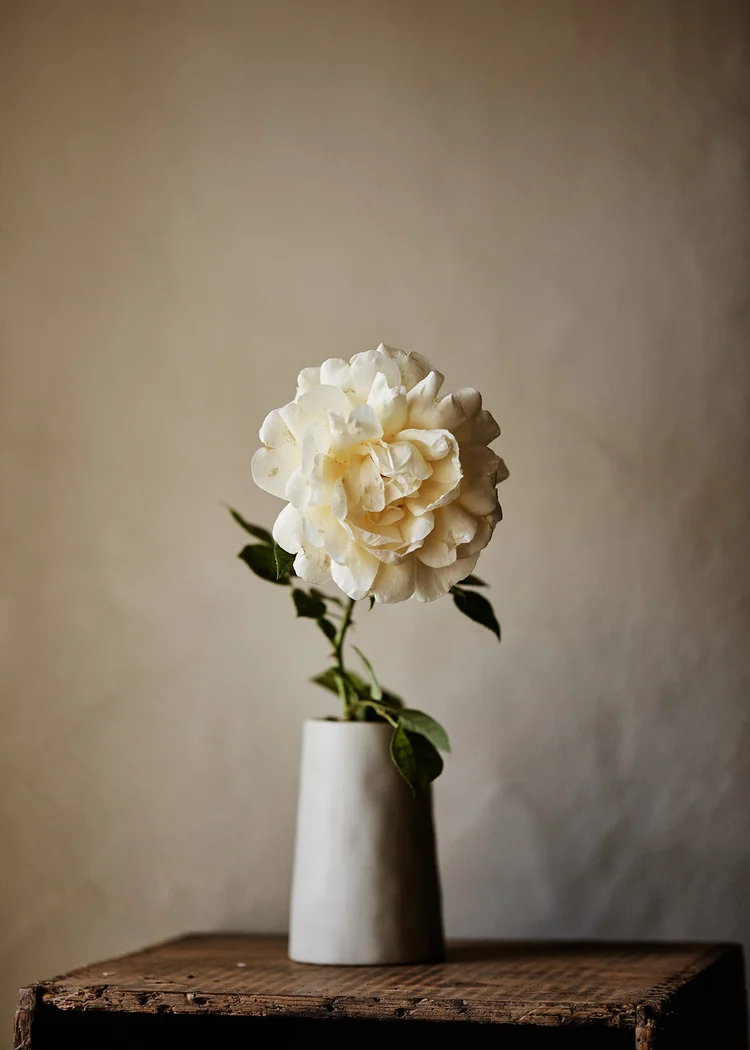 Grow and Gather by Grace Alexander — Dean Hearne