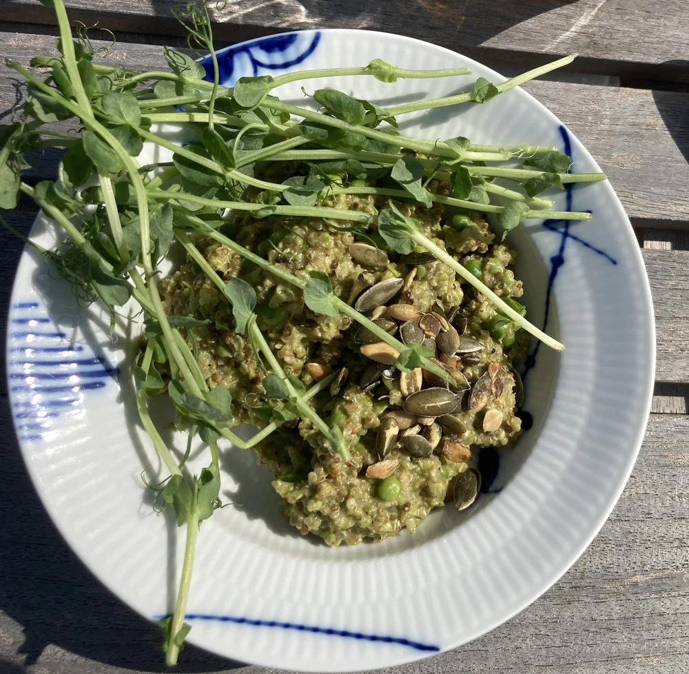 Quinotto - Grøn risotto med quinoa — Nordic Quinoa