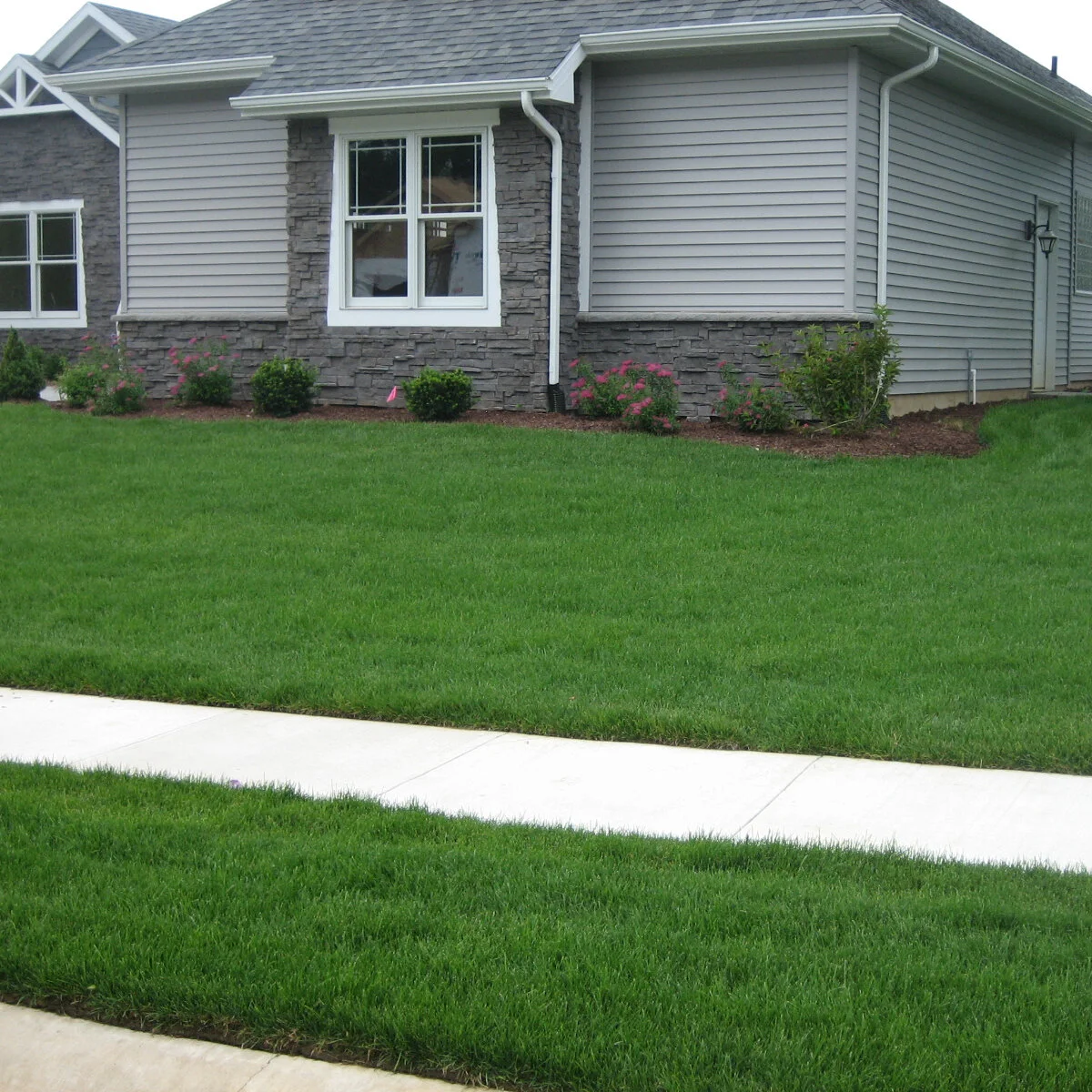 Columbus Turf Nursery