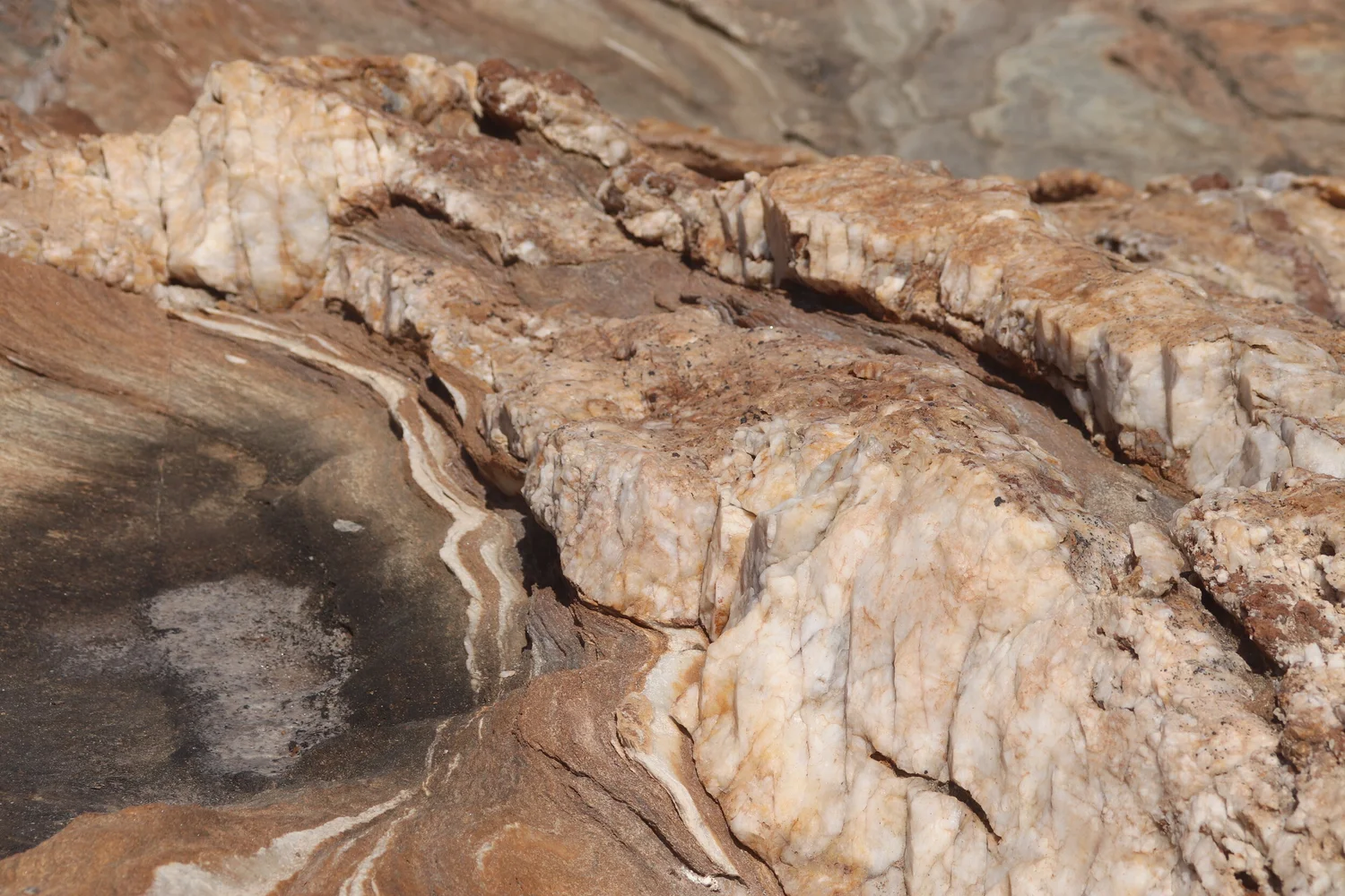 KOLCHIS BELLETRISTIK — Kolchis Verlag