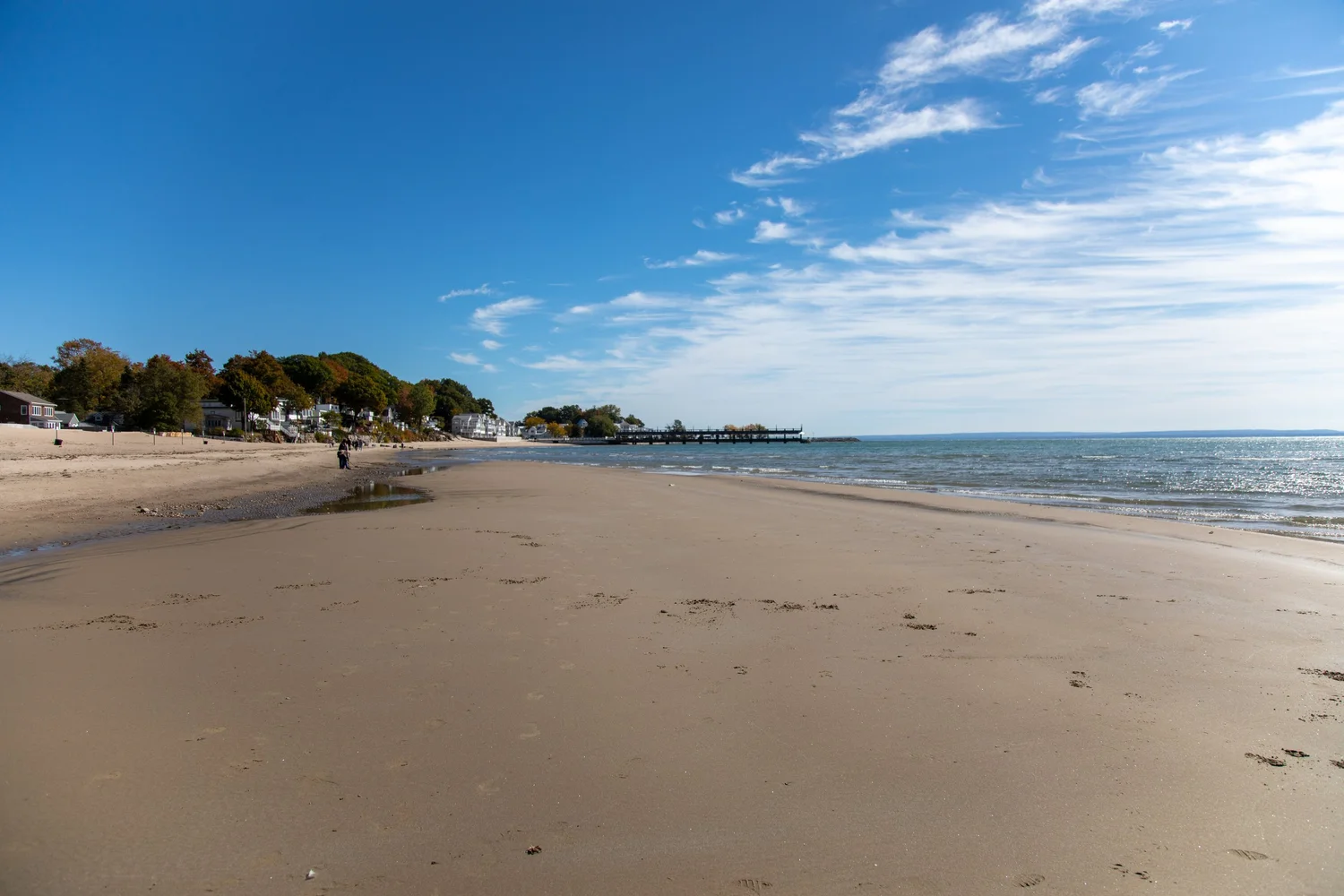 General 1 — Crystal Beach BIA