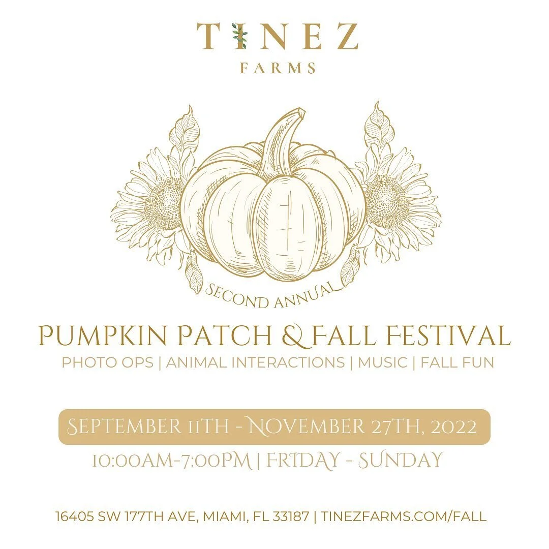 Tinez Farms | Miami, Fl