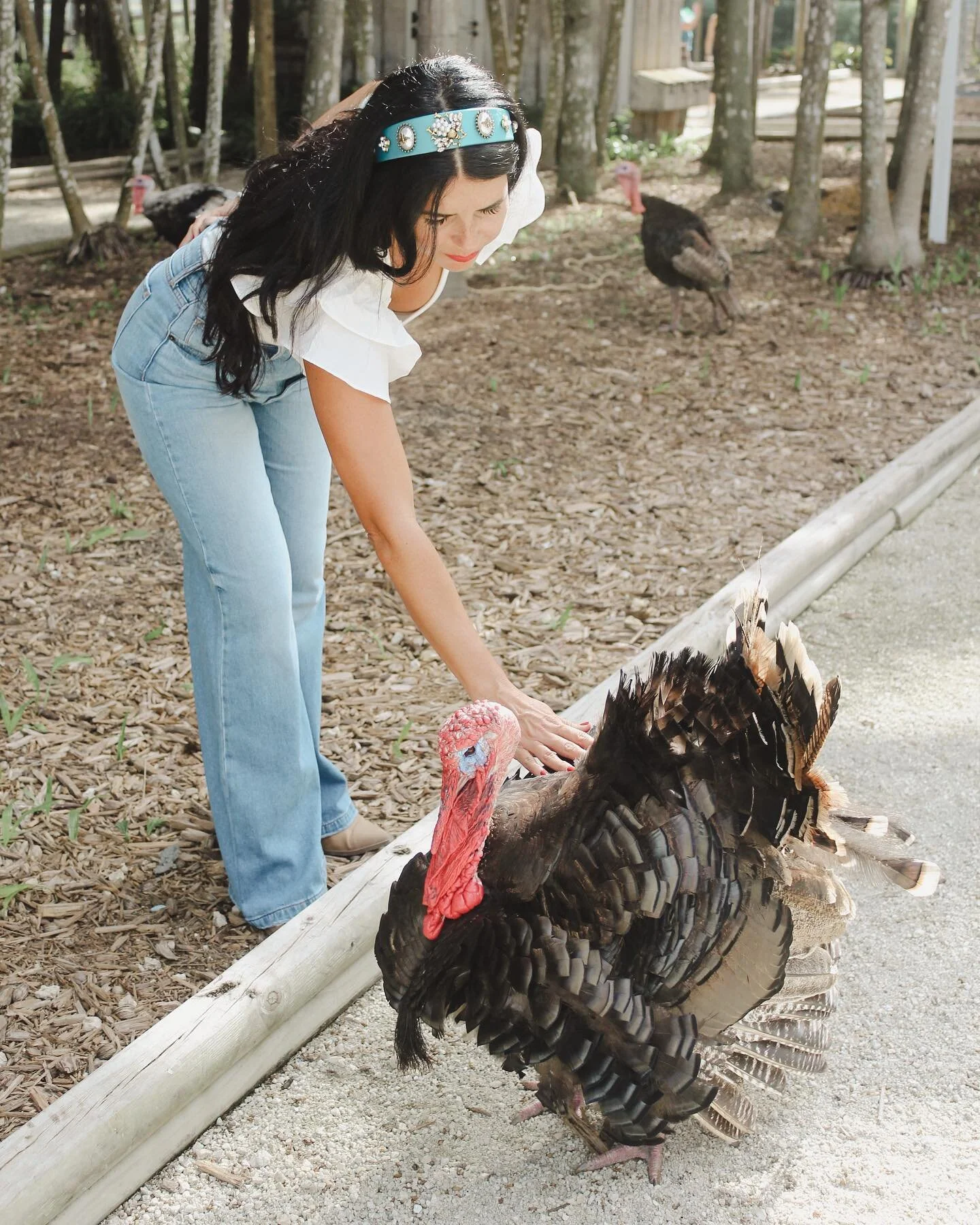 Tinez Farms | Miami, Fl