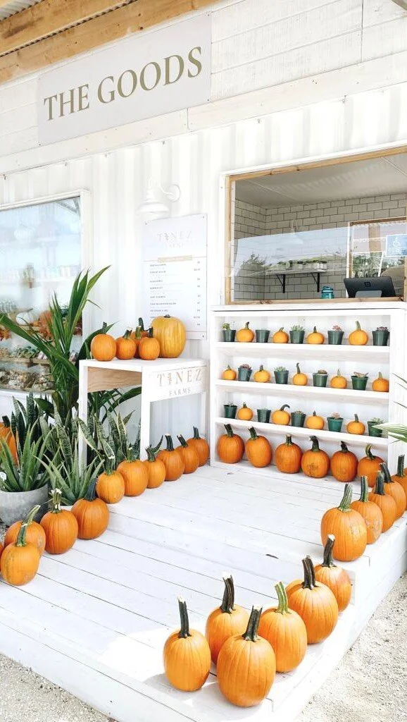 Tinez Farms | Miami, Fl