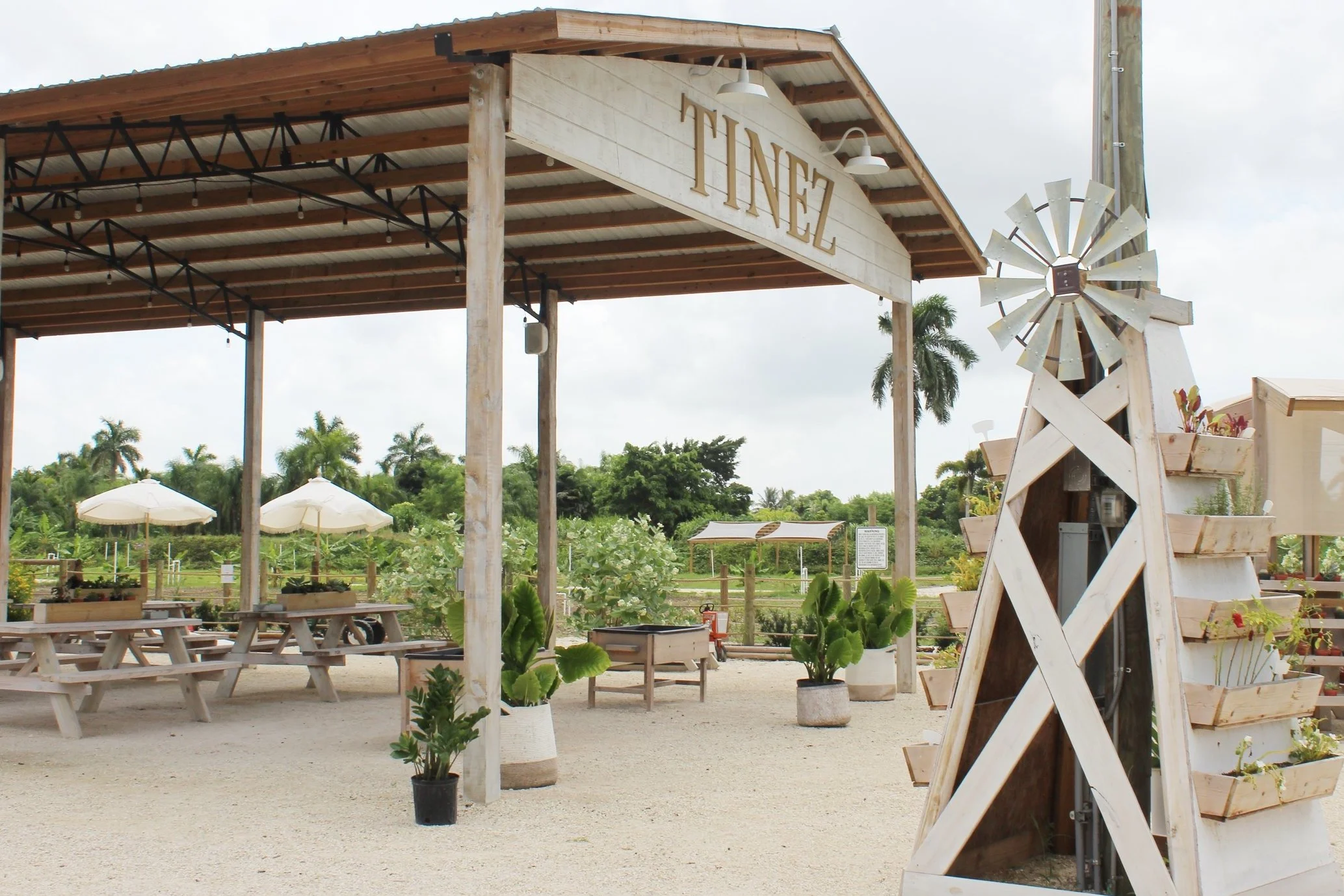Tinez Farms | Miami, Fl