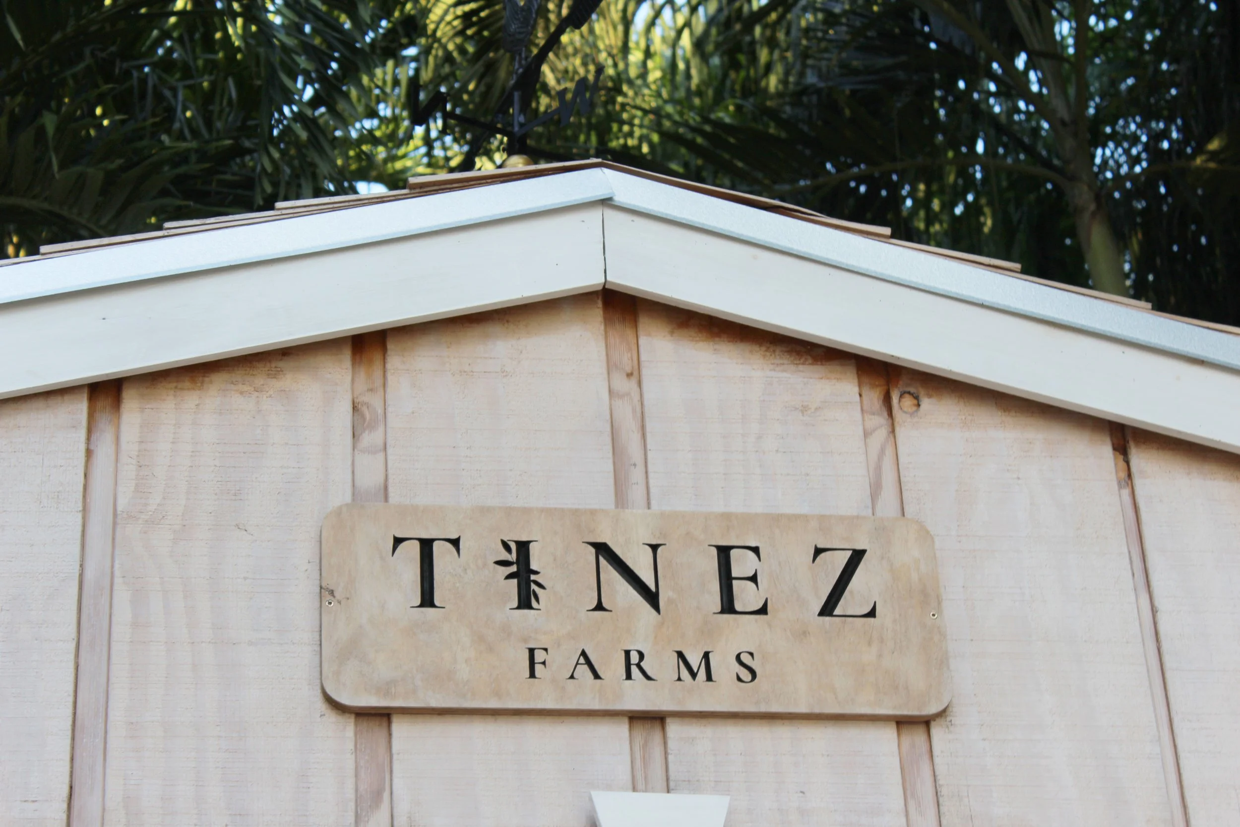 Tinez Farms | Miami, Fl