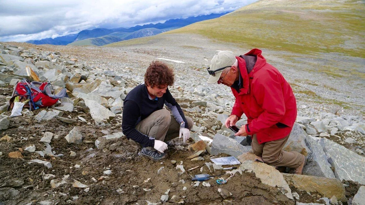 About YCS | Our Mission, Vision, and Team | Yukon Conservation Society