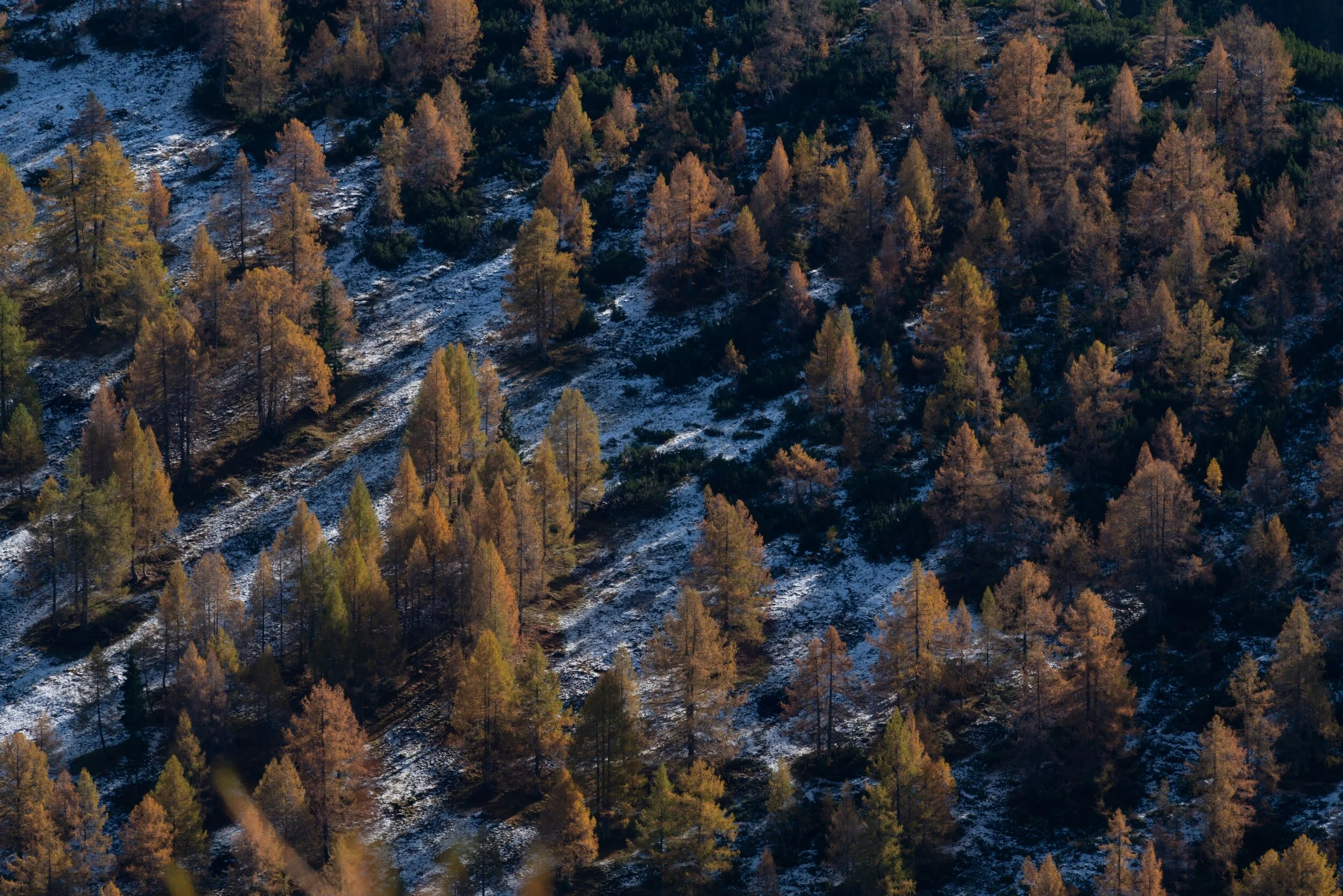 Land Use Planning | Sustainable Development & Conservation | Yukon ...