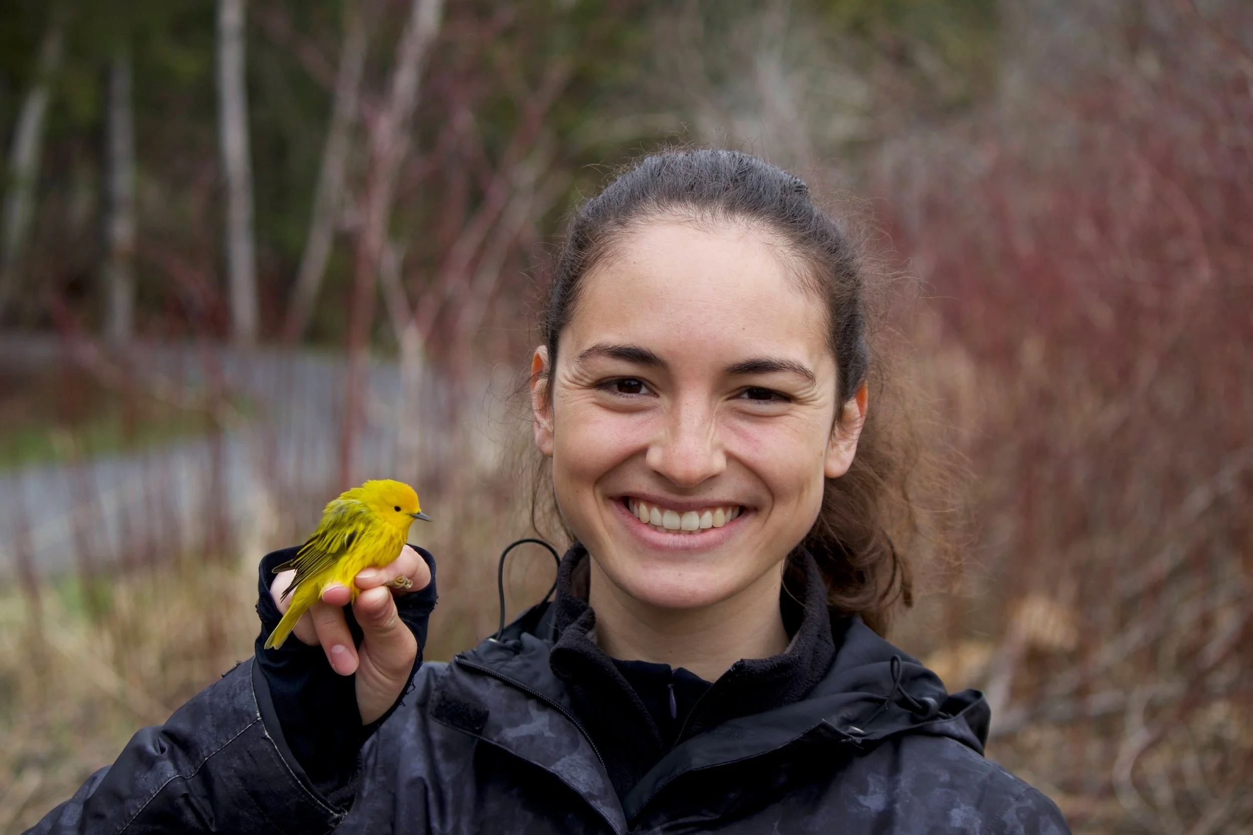 Our Team | Dedicated Staff & Volunteers | Yukon Conservation Society