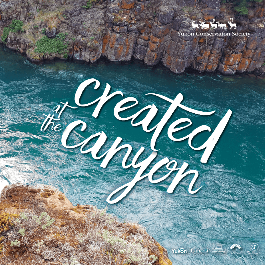 About YCS | Our Mission, Vision, and Team | Yukon Conservation Society