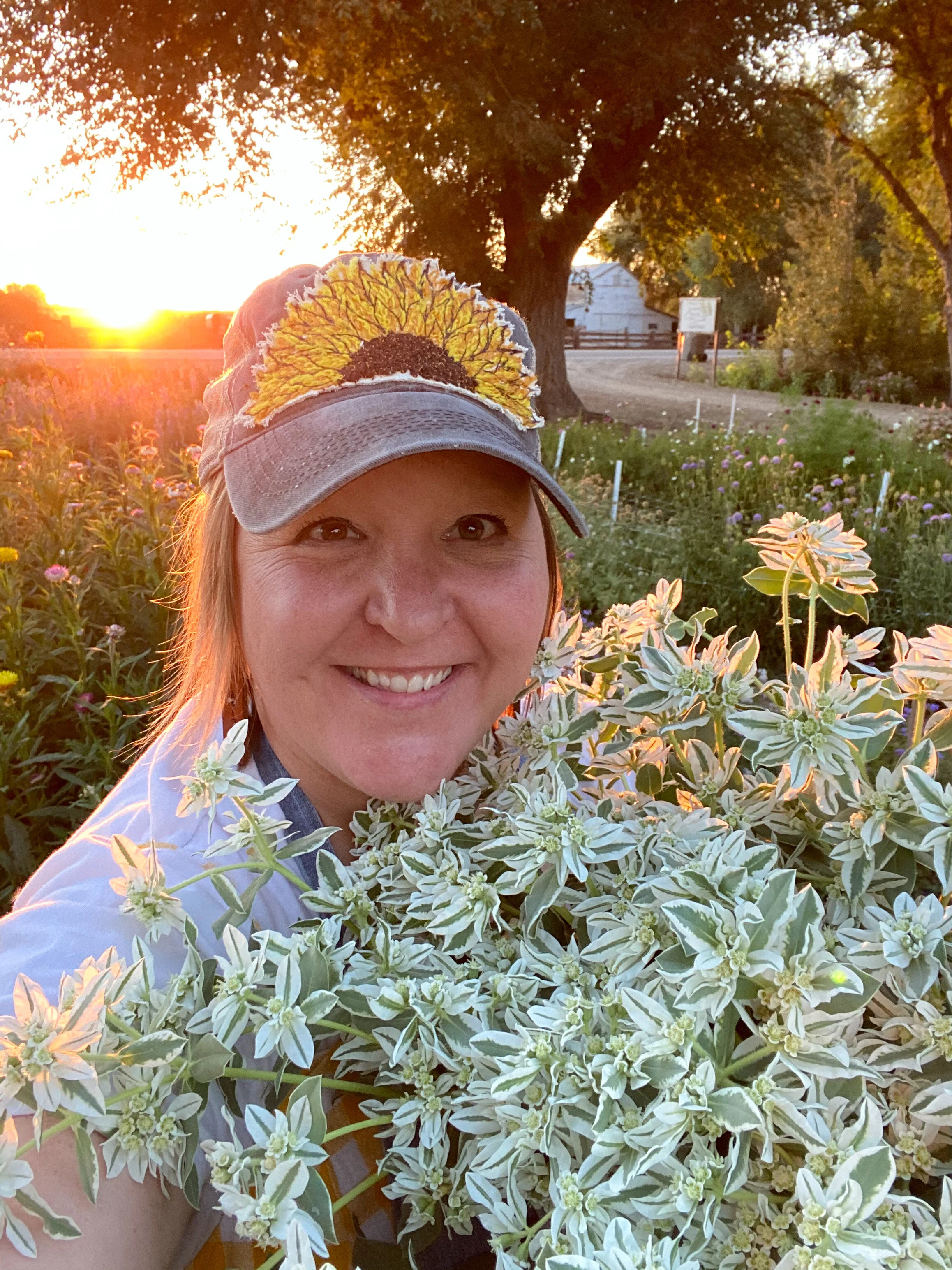 Home. [www.thegypsypetaler.com]