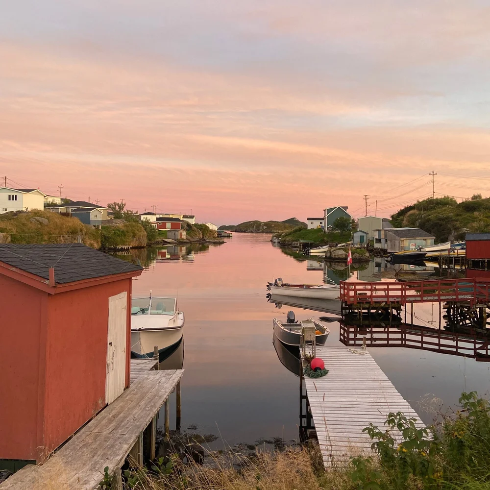 Profile — TOWN OF BURGEO