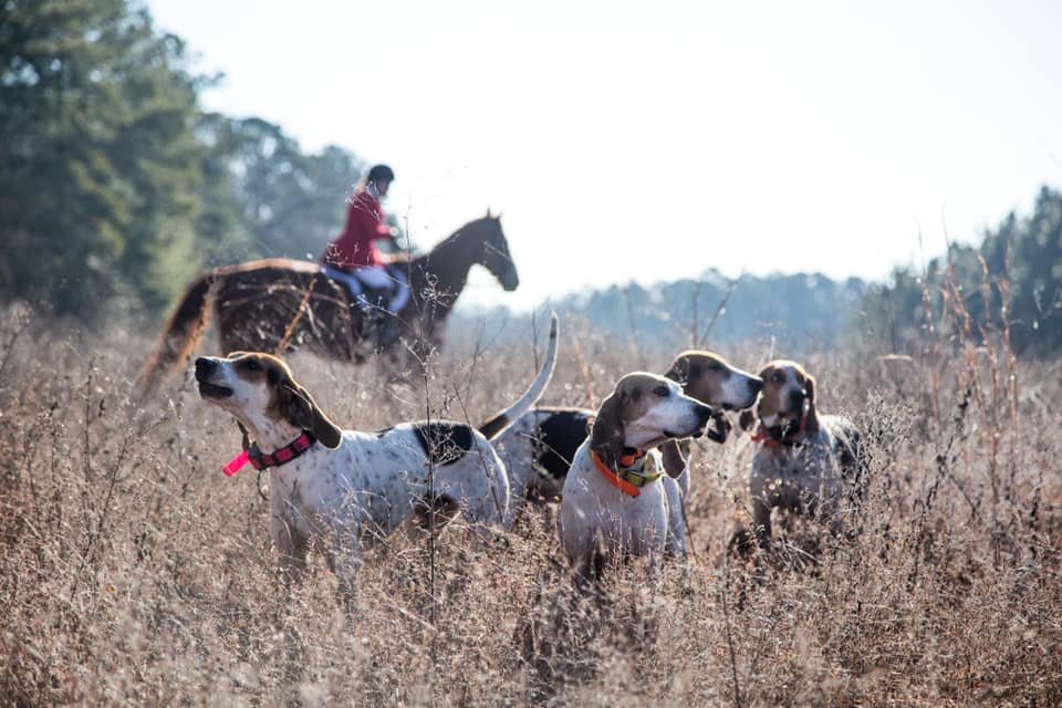 Services 1 — The Wateree Hounds
