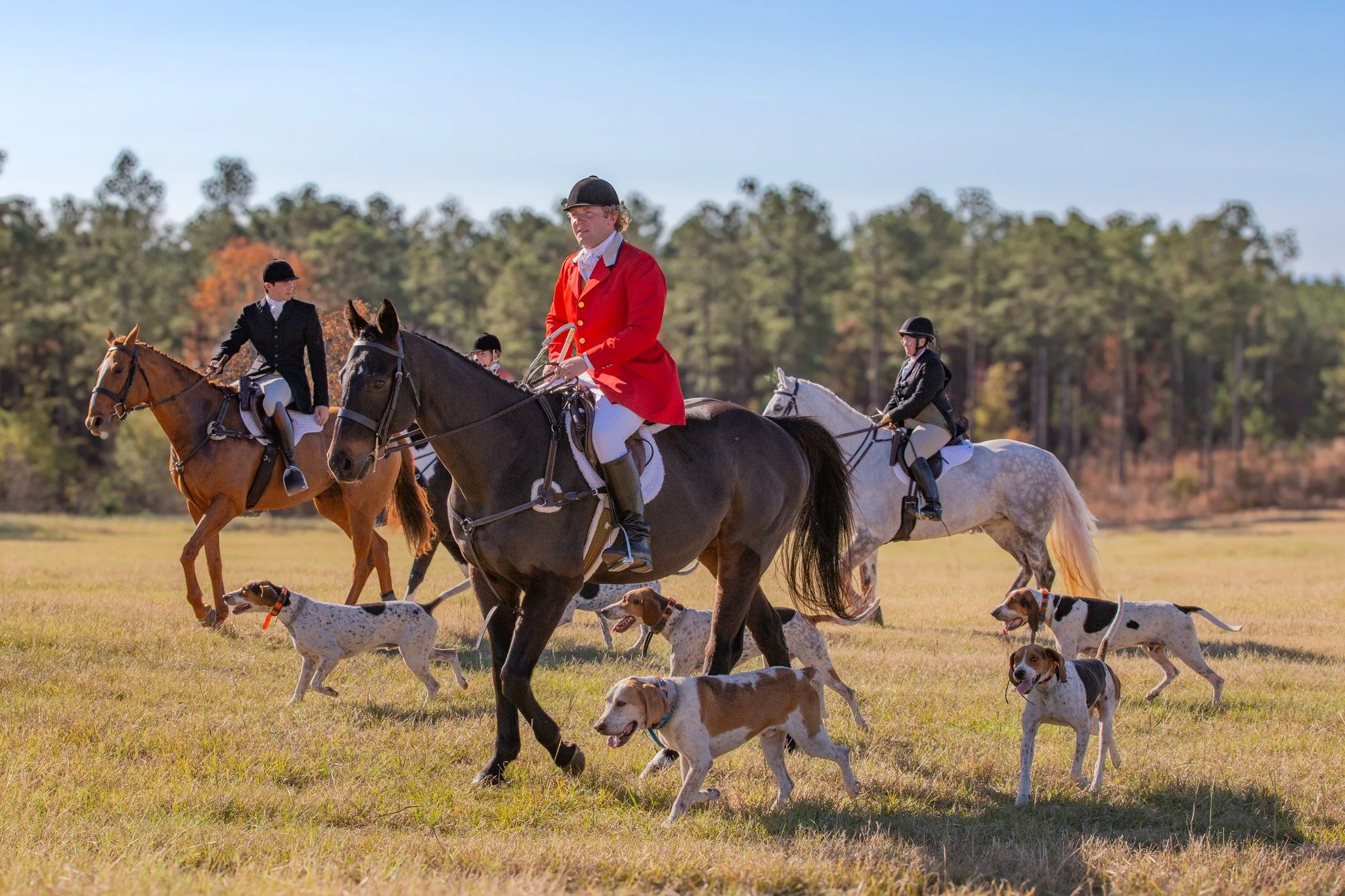 The Wateree Hounds