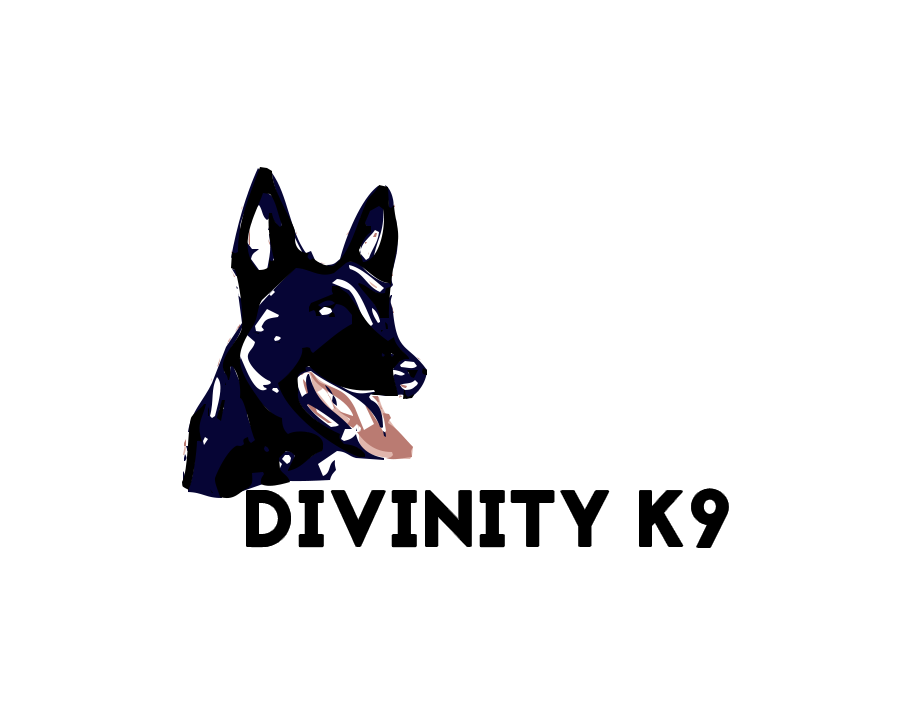 About us — Divinity K9