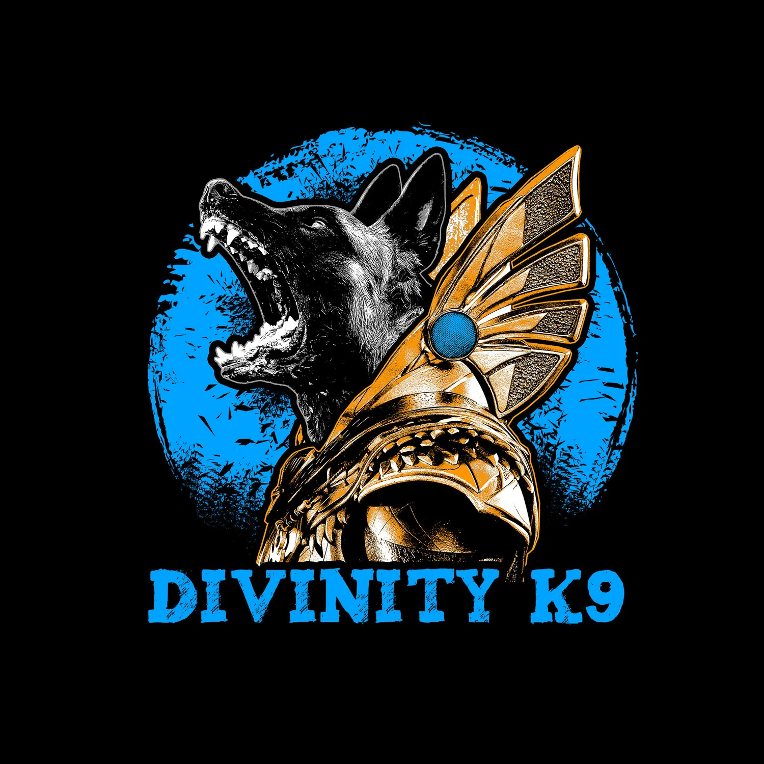 Programs — Divinity K9